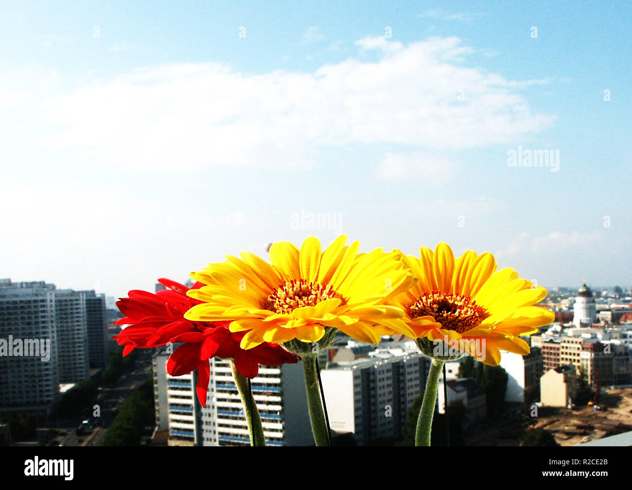 20 storey building hi-res stock photography and images - Alamy