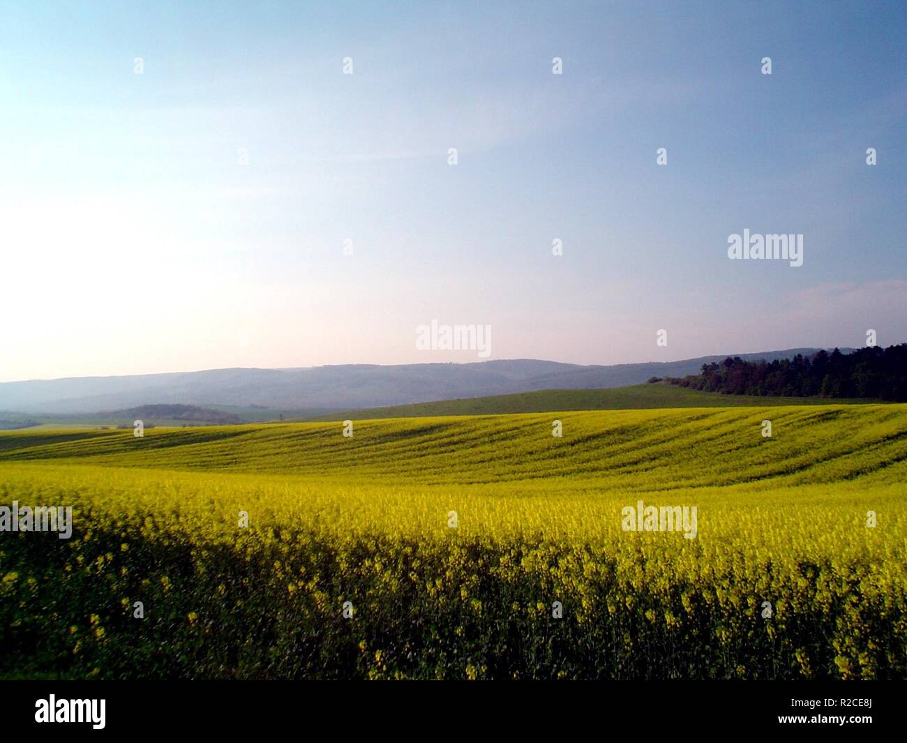 only one field Stock Photo - Alamy