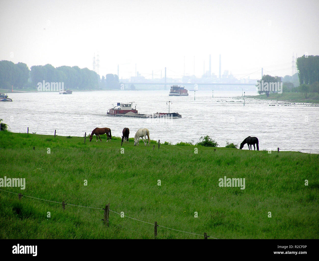 Leverkusen hitdorf hi-res stock photography and images - Alamy