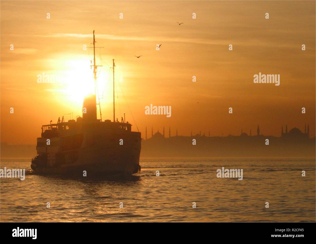 Rowing istanbul hi-res stock photography and images - Alamy