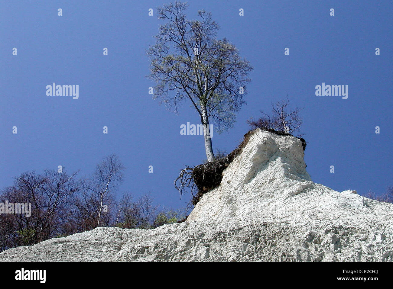chalk cliffs ruegen Stock Photo - Alamy