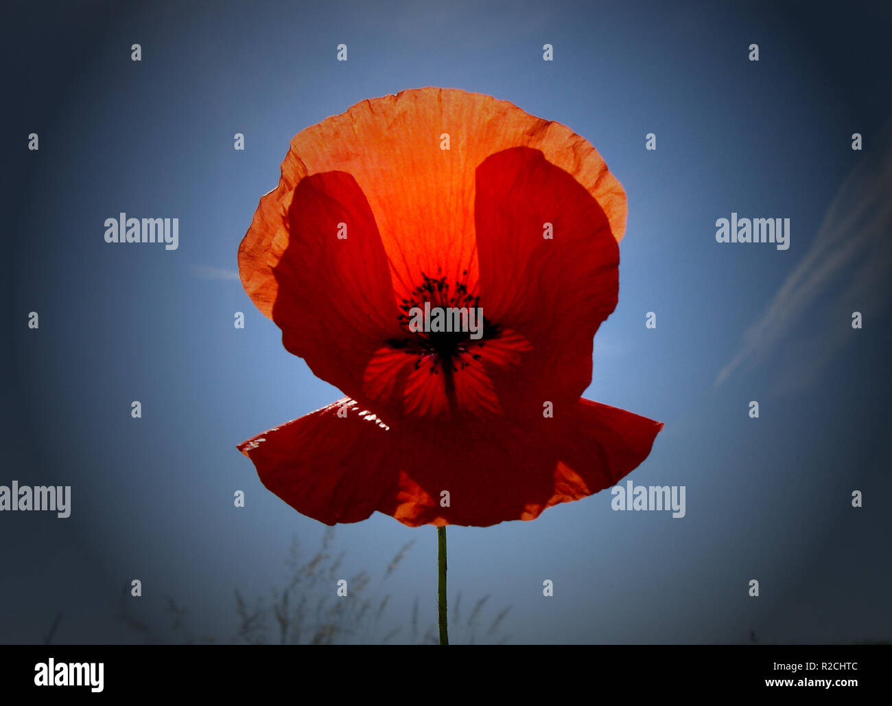 Red vs blue hi-res stock photography and images - Alamy