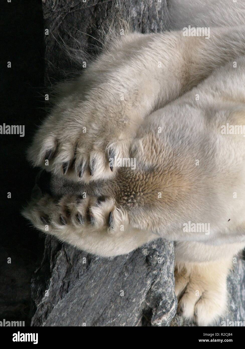 leave me alone Stock Photo - Alamy