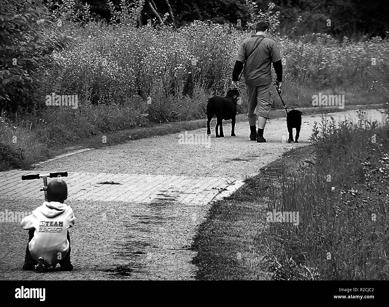 Man fear dog hi-res stock photography and images - Alamy