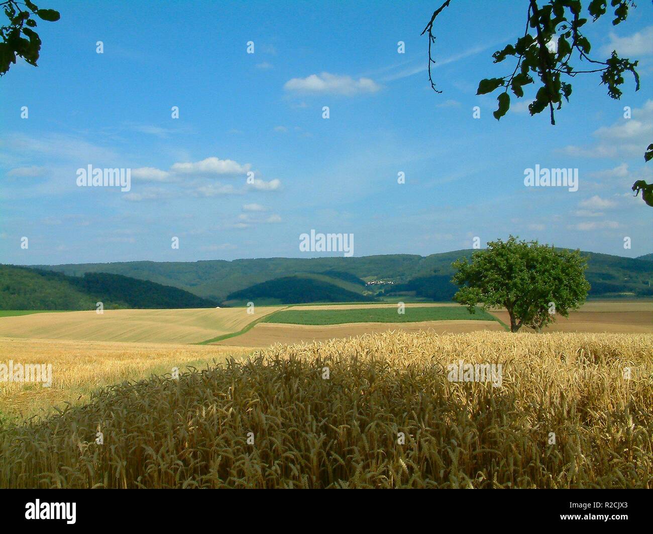 Wildenstein village hi-res stock photography and images - Alamy