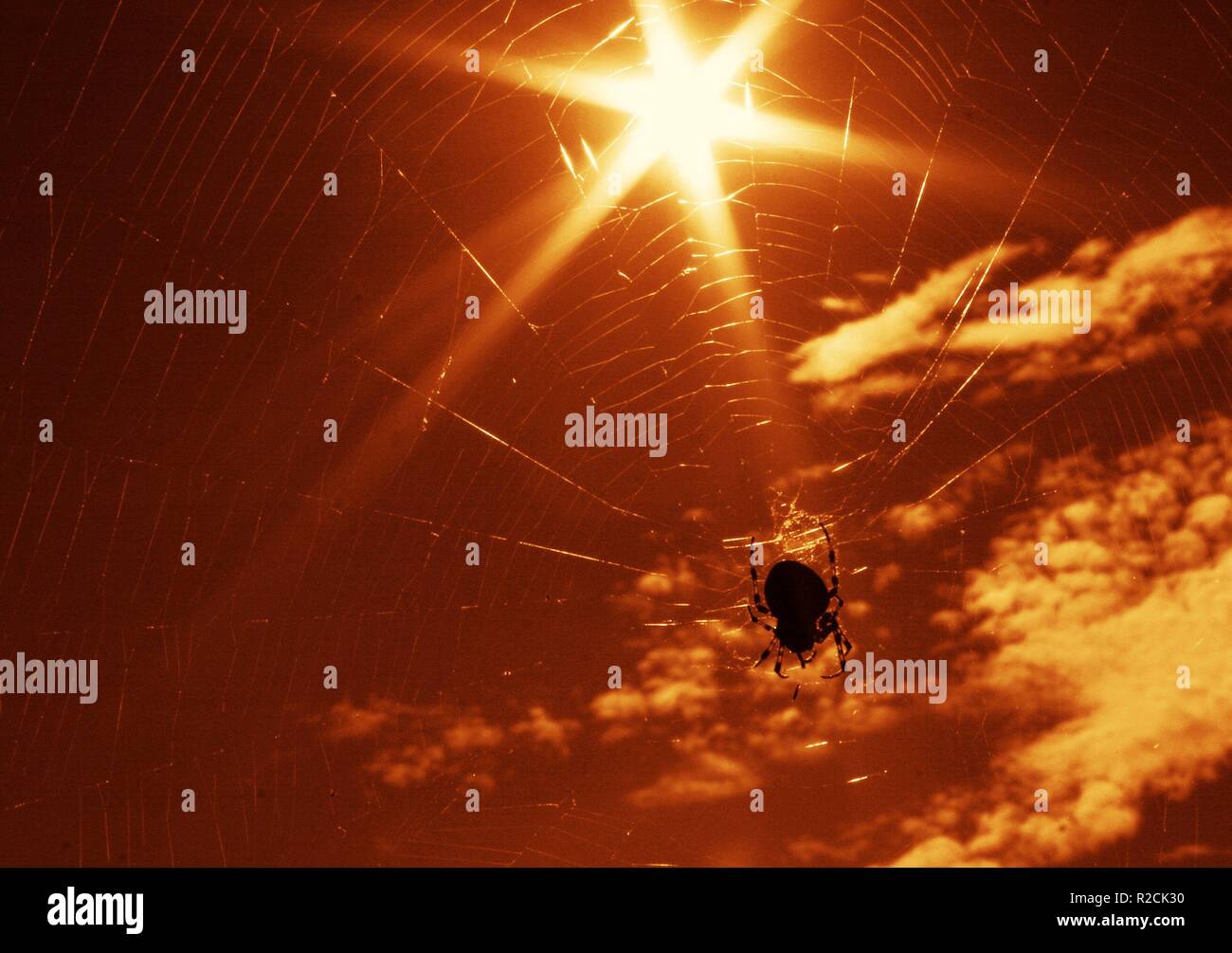 Radial threads hi-res stock photography and images - Alamy