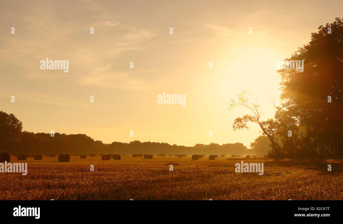harvest time 5 Stock Photo - Alamy