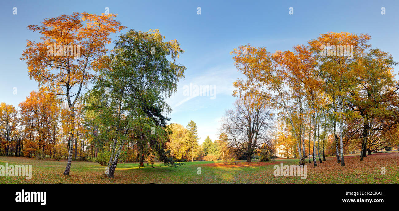 Colorful autumn trees sunrise hi-res stock photography and images - Alamy