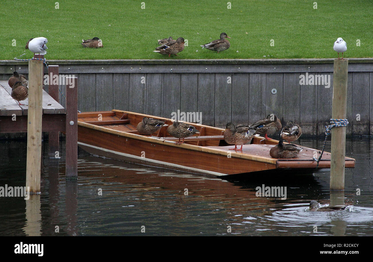 the two guards Stock Photo - Alamy