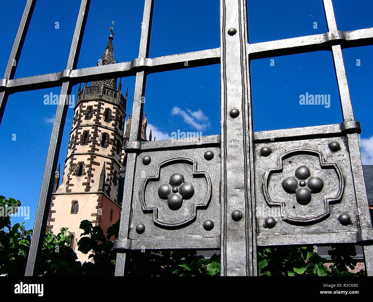 rear gate and vines Stock Photo - Alamy