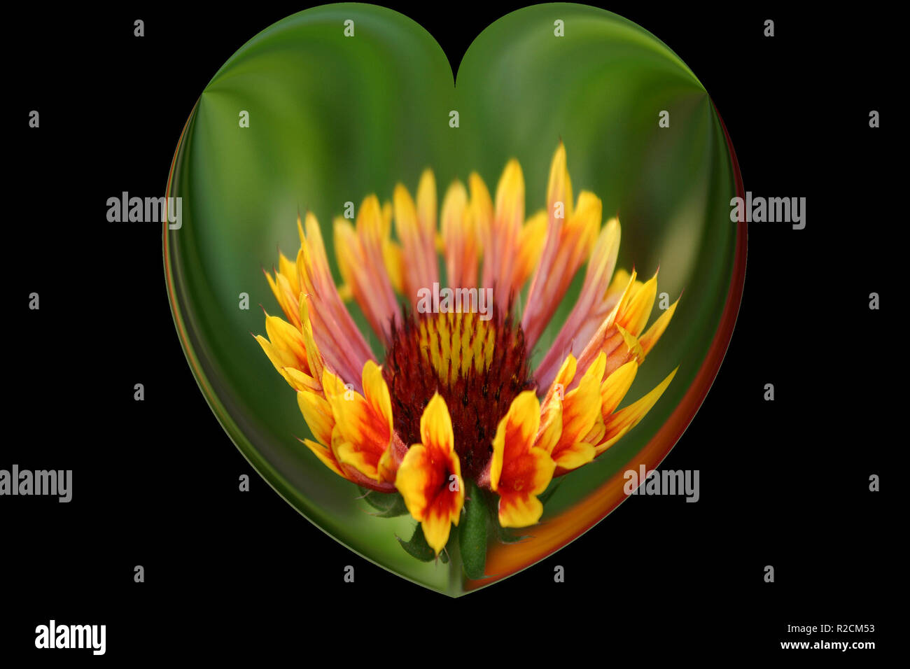 Thank you for the rain hi-res stock photography and images - Alamy