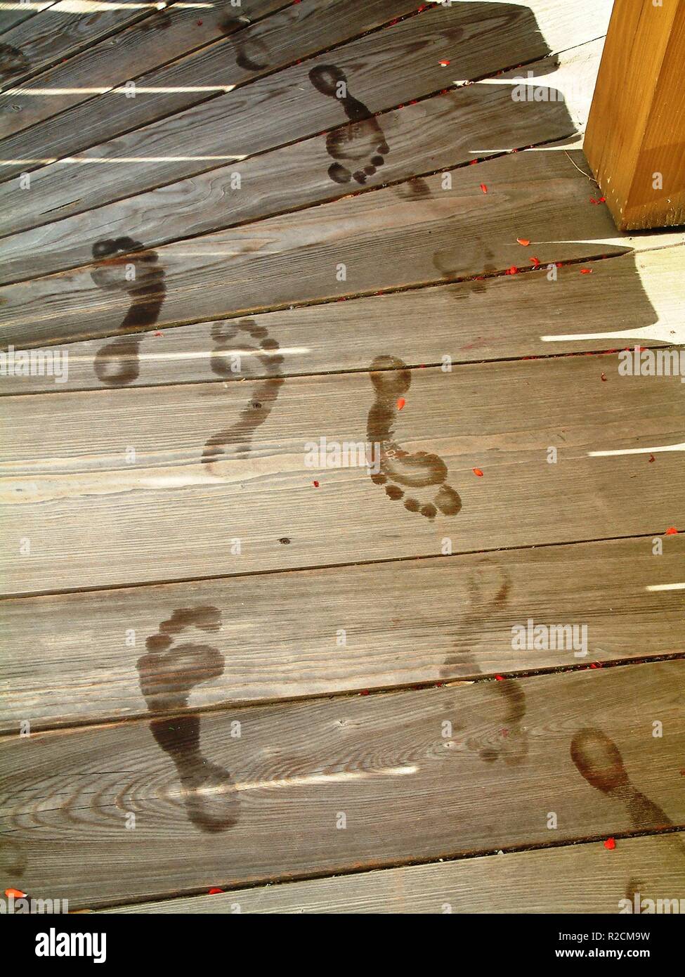 Barefoot running track hi-res stock photography and images - Alamy