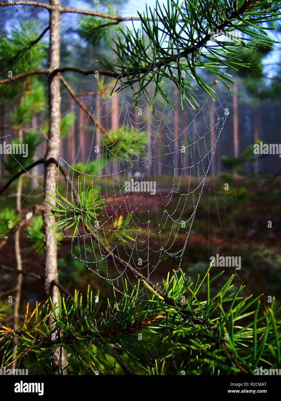 Drip catcher hi-res stock photography and images - Alamy