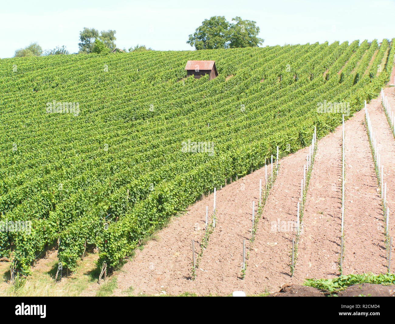 Tte design hi-res stock photography and images - Alamy