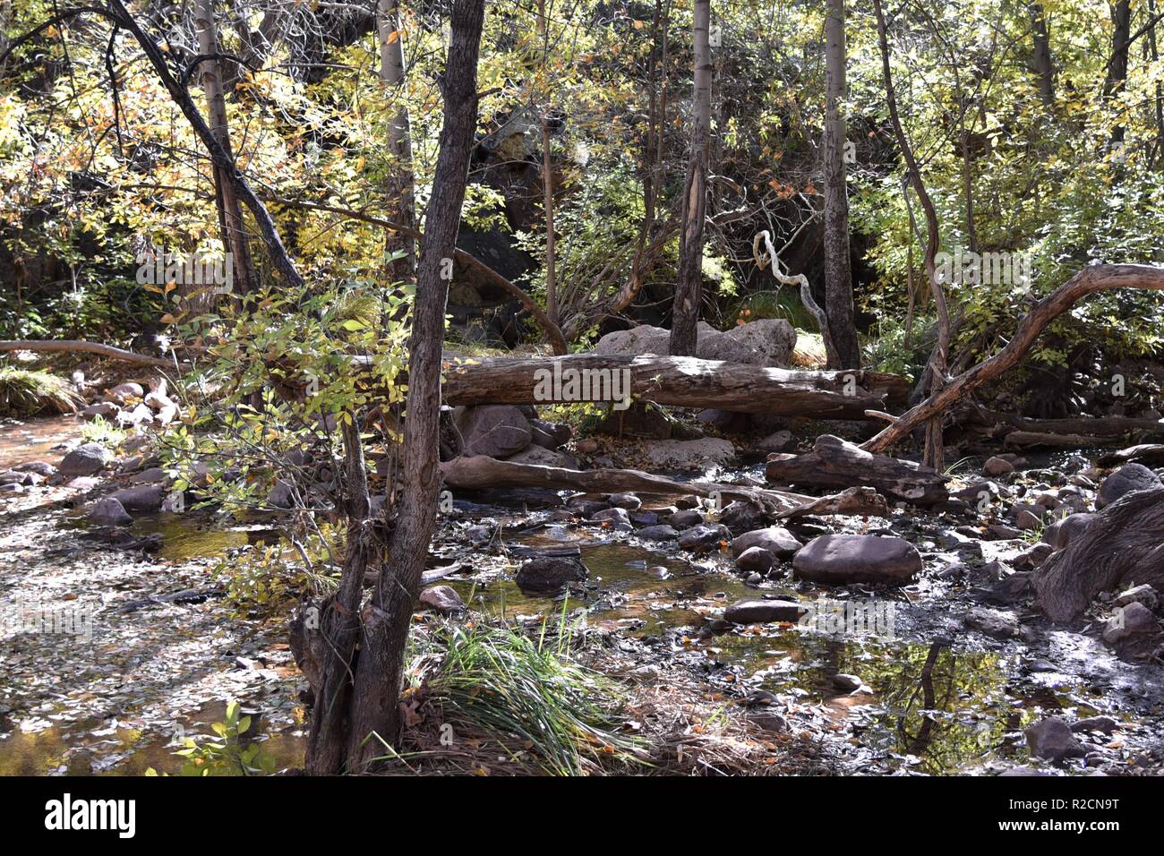 Views at Tonto Natural Bridge State Park in Payson Arizona Stock Photo ...