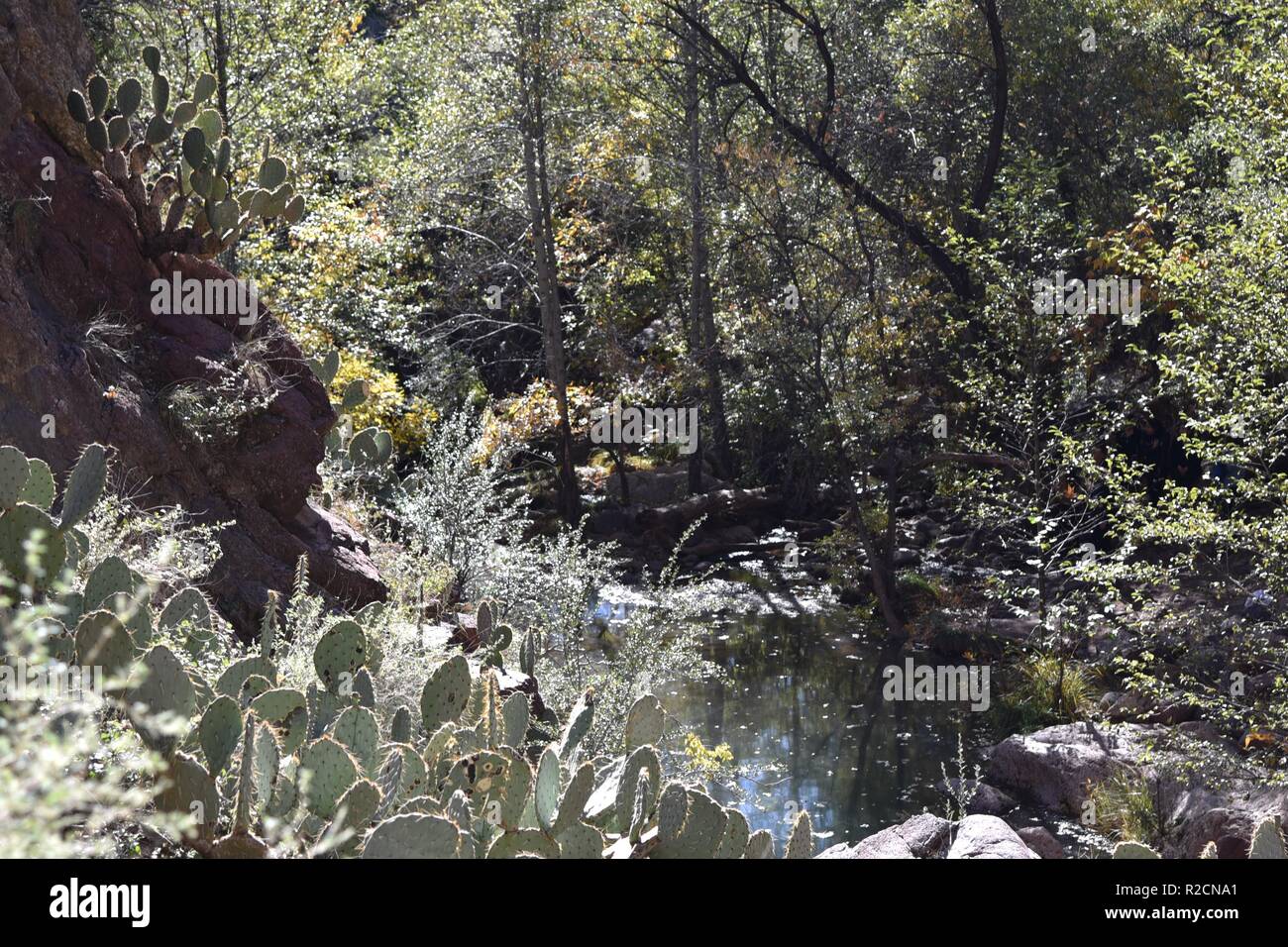 Views at Tonto Natural Bridge State Park in Payson Arizona Stock Photo ...