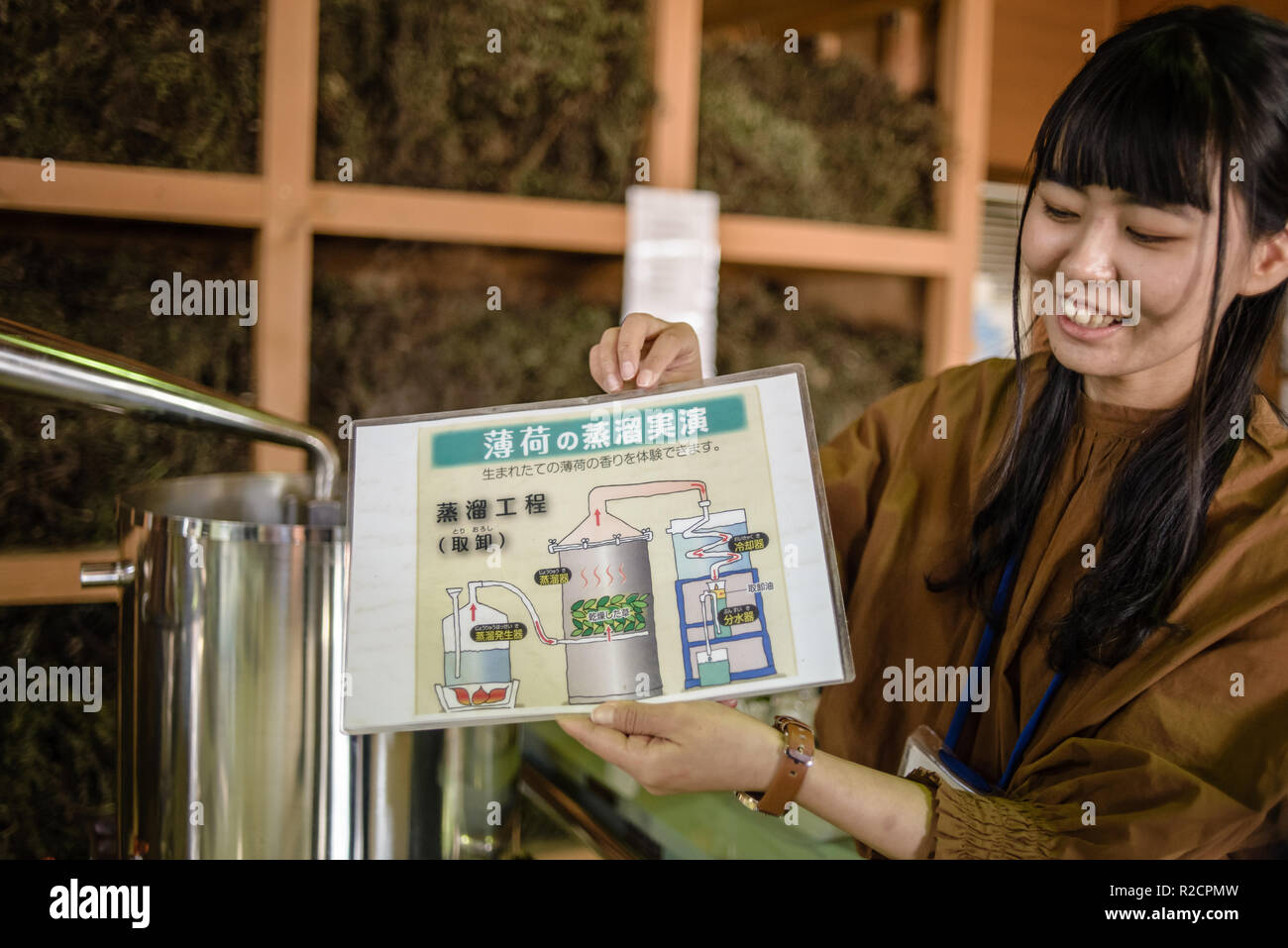 Japanese menthol mint hi-res stock photography and images - Alamy