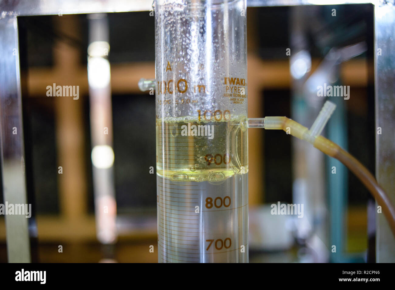 Japanese menthol mint hi-res stock photography and images - Alamy