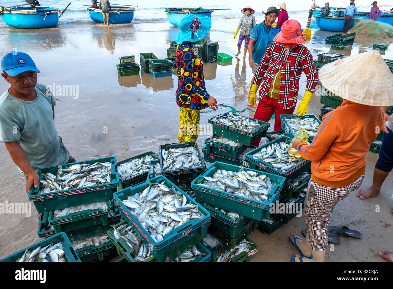 Fish market session seas scene people gathered inside basket fish sale ...