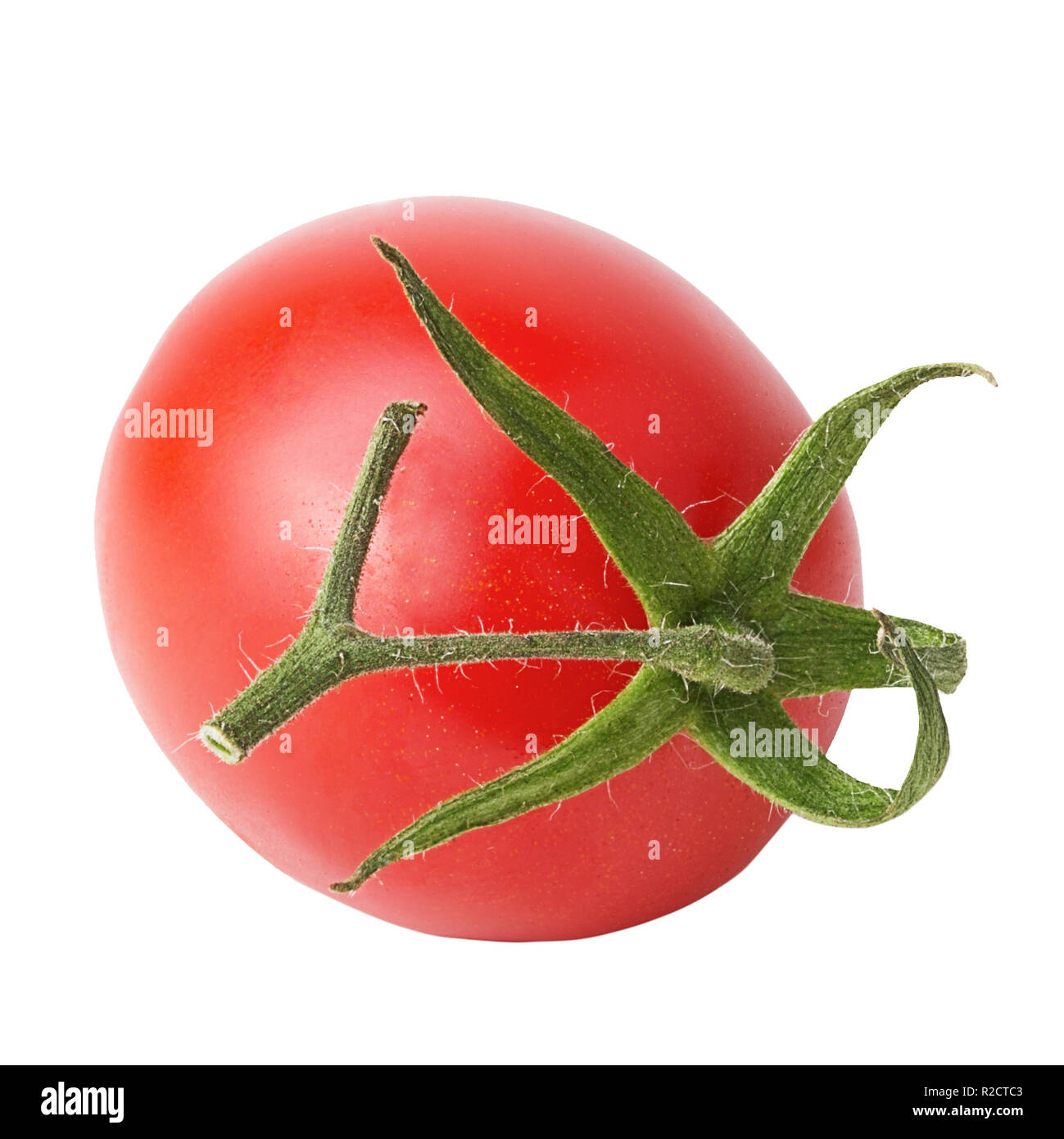 One tomato isolated on white background with clipping path as package ...