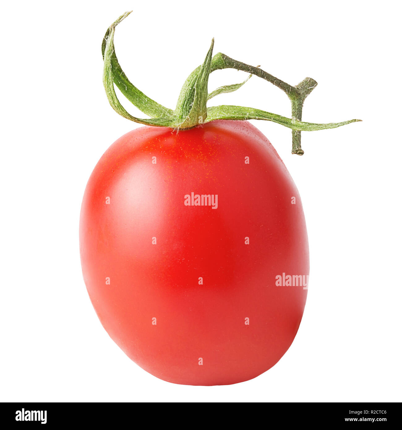 One tomato isolated on white background with clipping path as package ...
