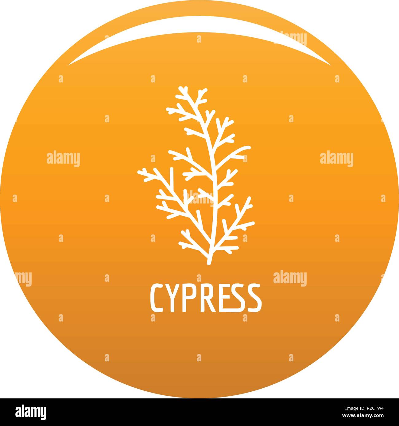 Cypress leaf icon. Simple illustration of cypress leaf vector icon for ...