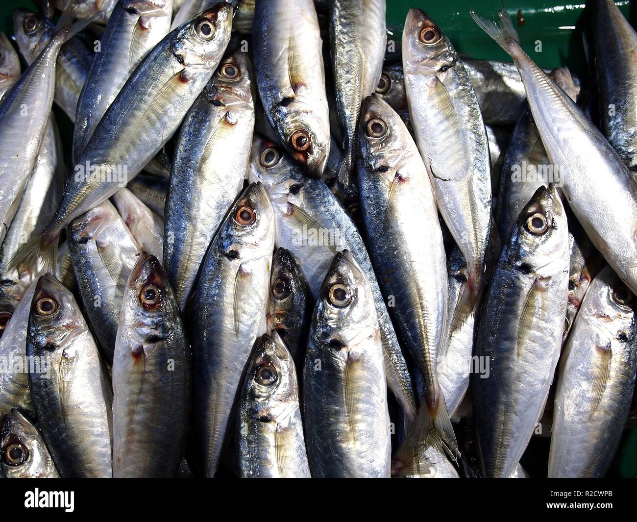 Galunggong hi-res stock photography and images - Alamy