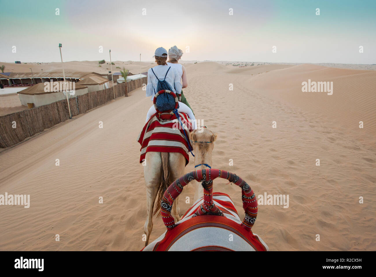 camel riding in desert sand. UAE Stock Photo - Alamy