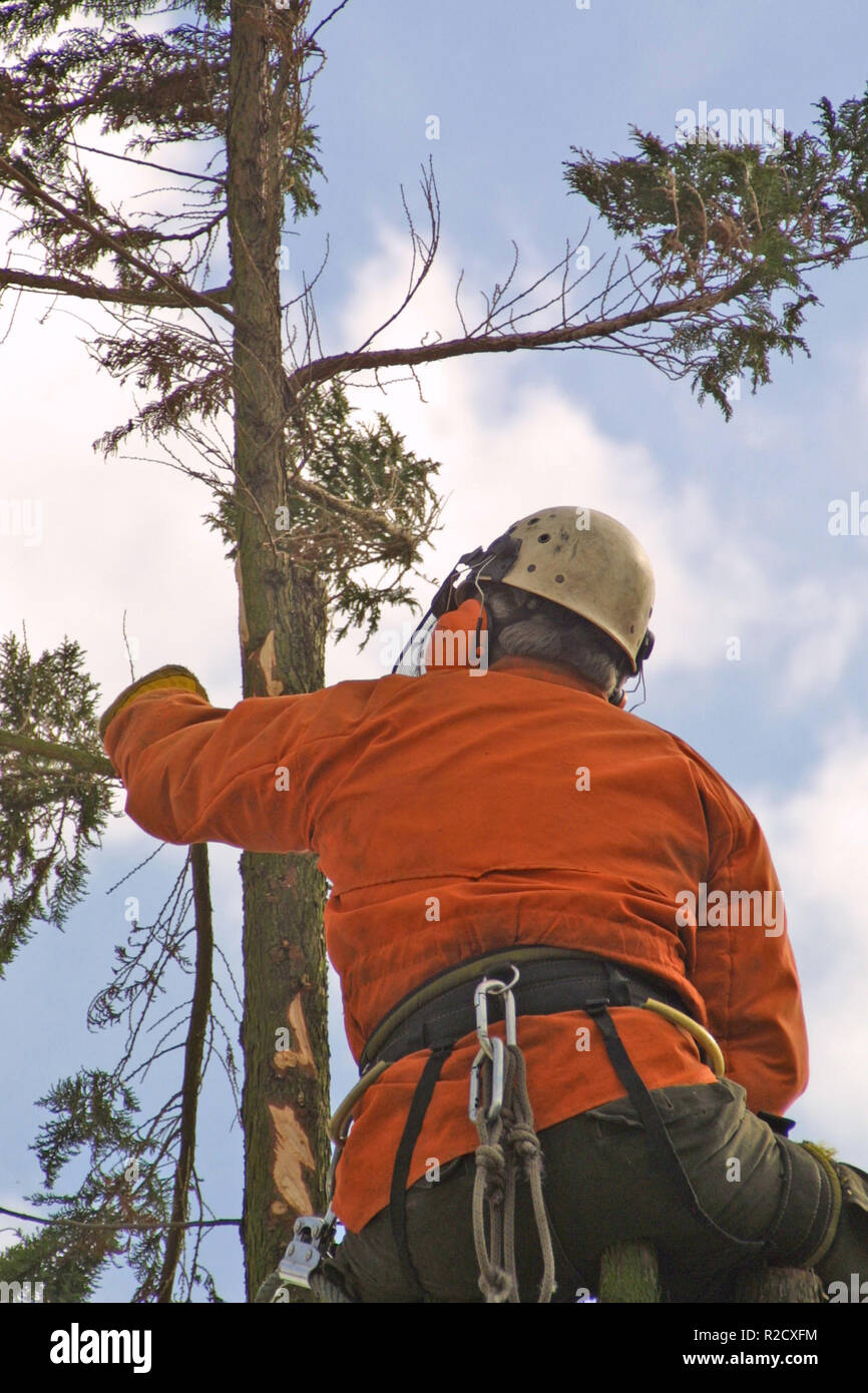 Forstarbeiter hi-res stock photography and images - Alamy