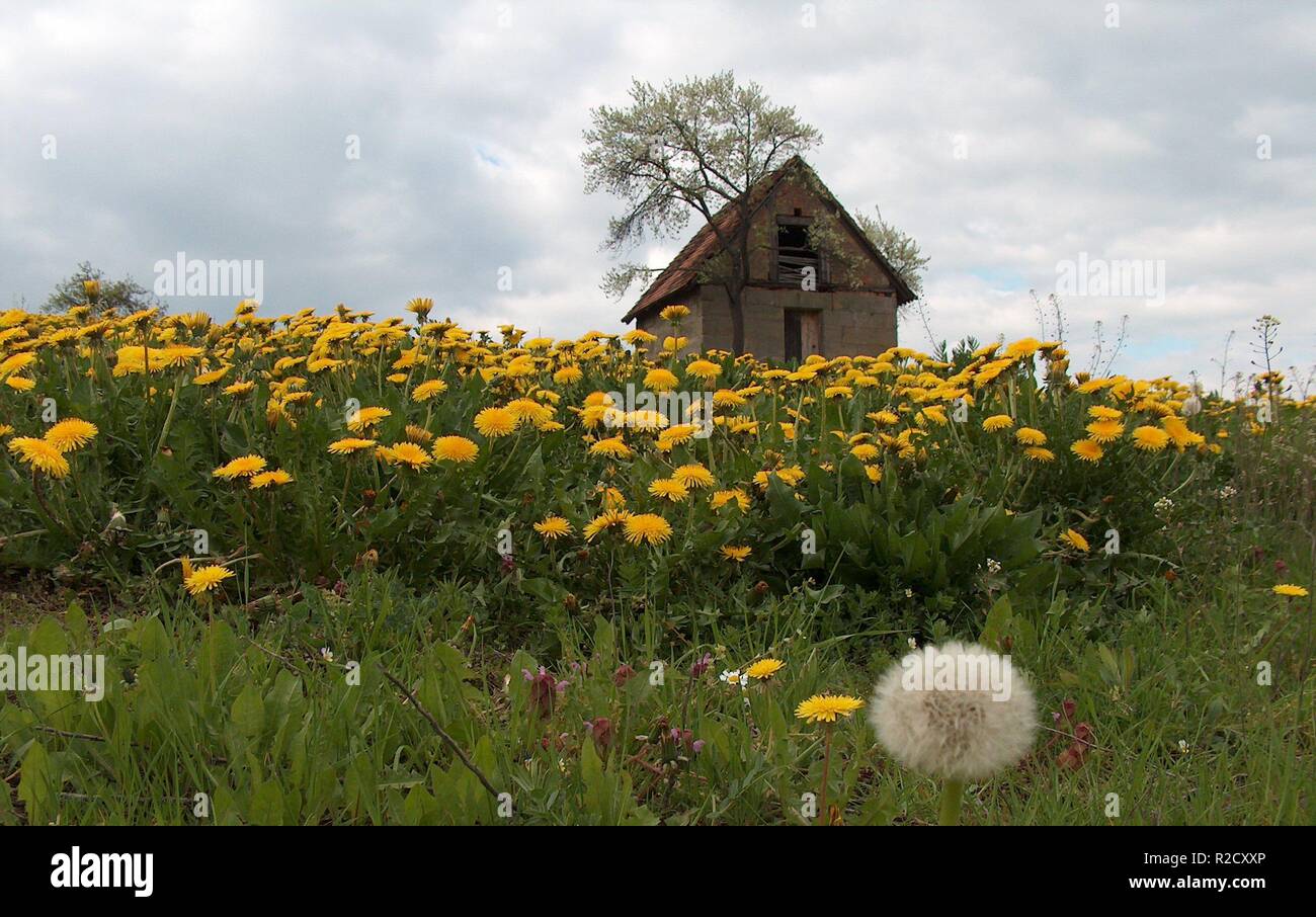 Witch cottage hi-res stock photography and images - Alamy