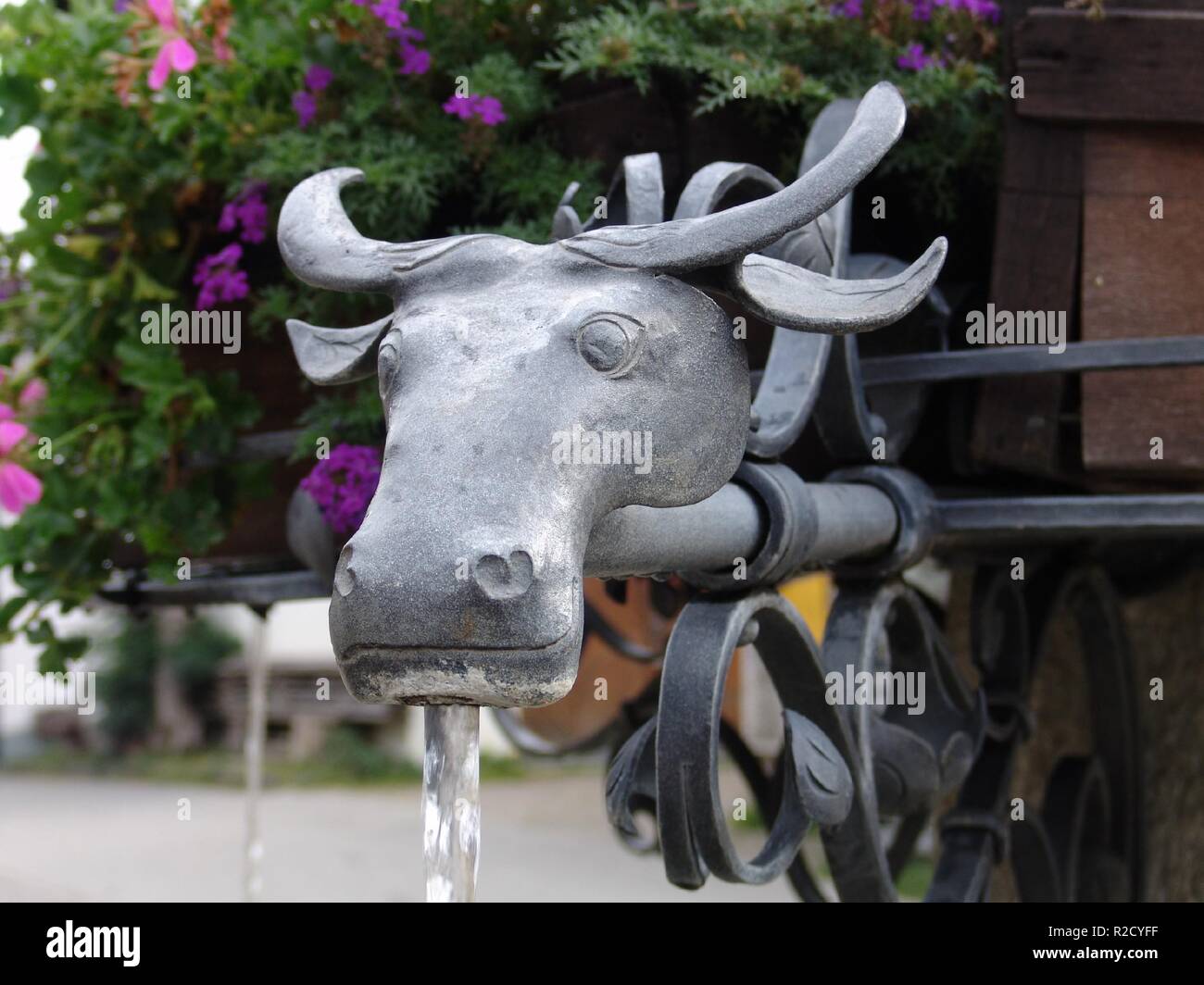 Feldis hi-res stock photography and images - Alamy