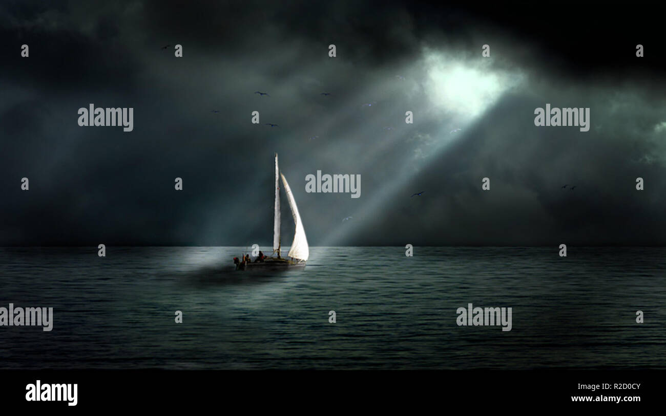 Seafaring bird hi-res stock photography and images - Alamy