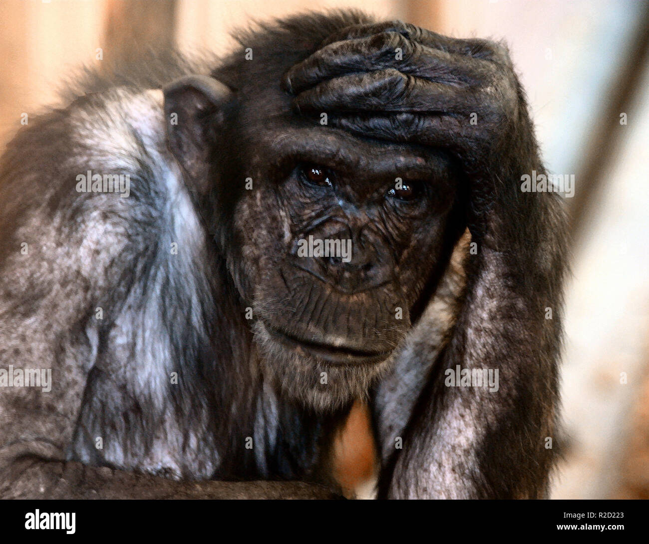 the thinker ii Stock Photo - Alamy