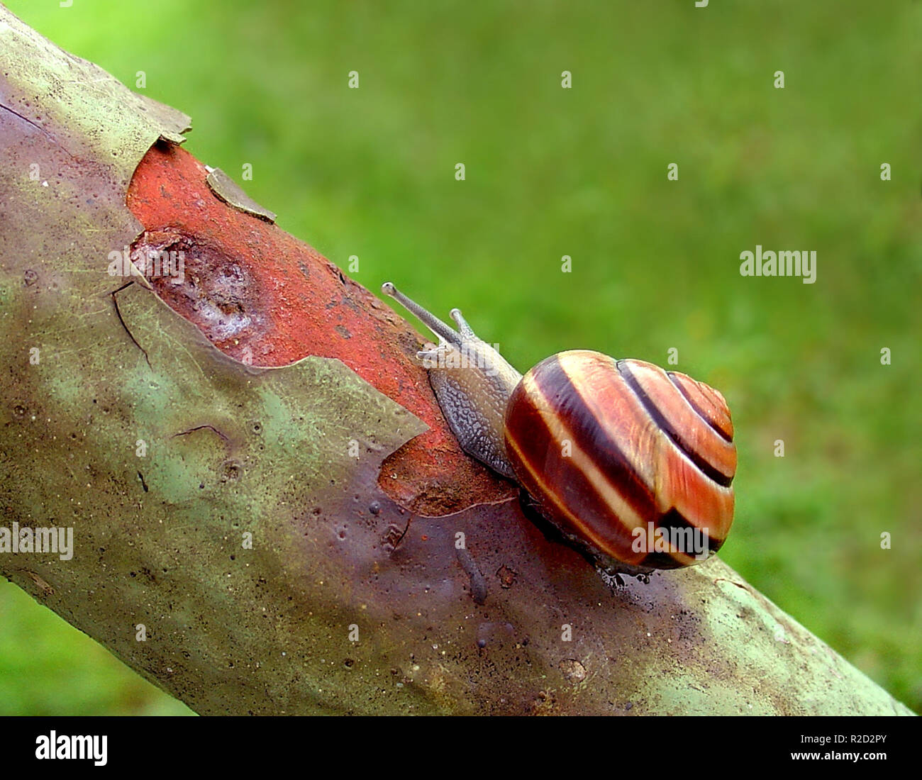 Slug iron hi-res stock photography and images - Alamy