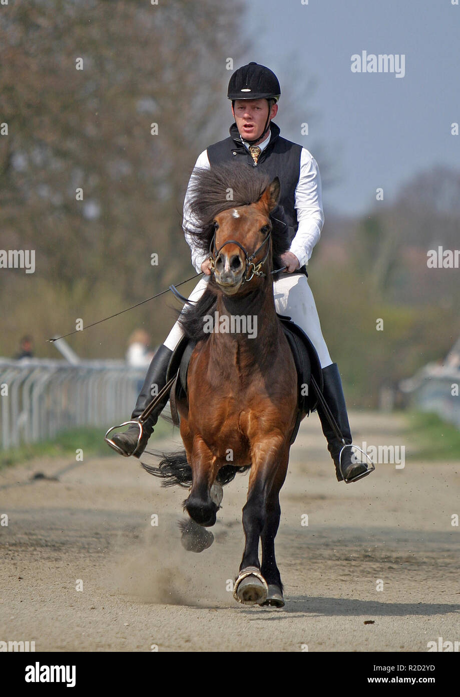 Let pass hi-res stock photography and images - Alamy