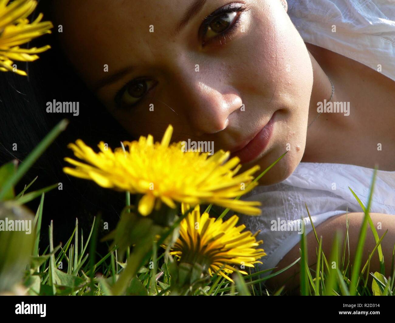 a plush for you Stock Photo - Alamy