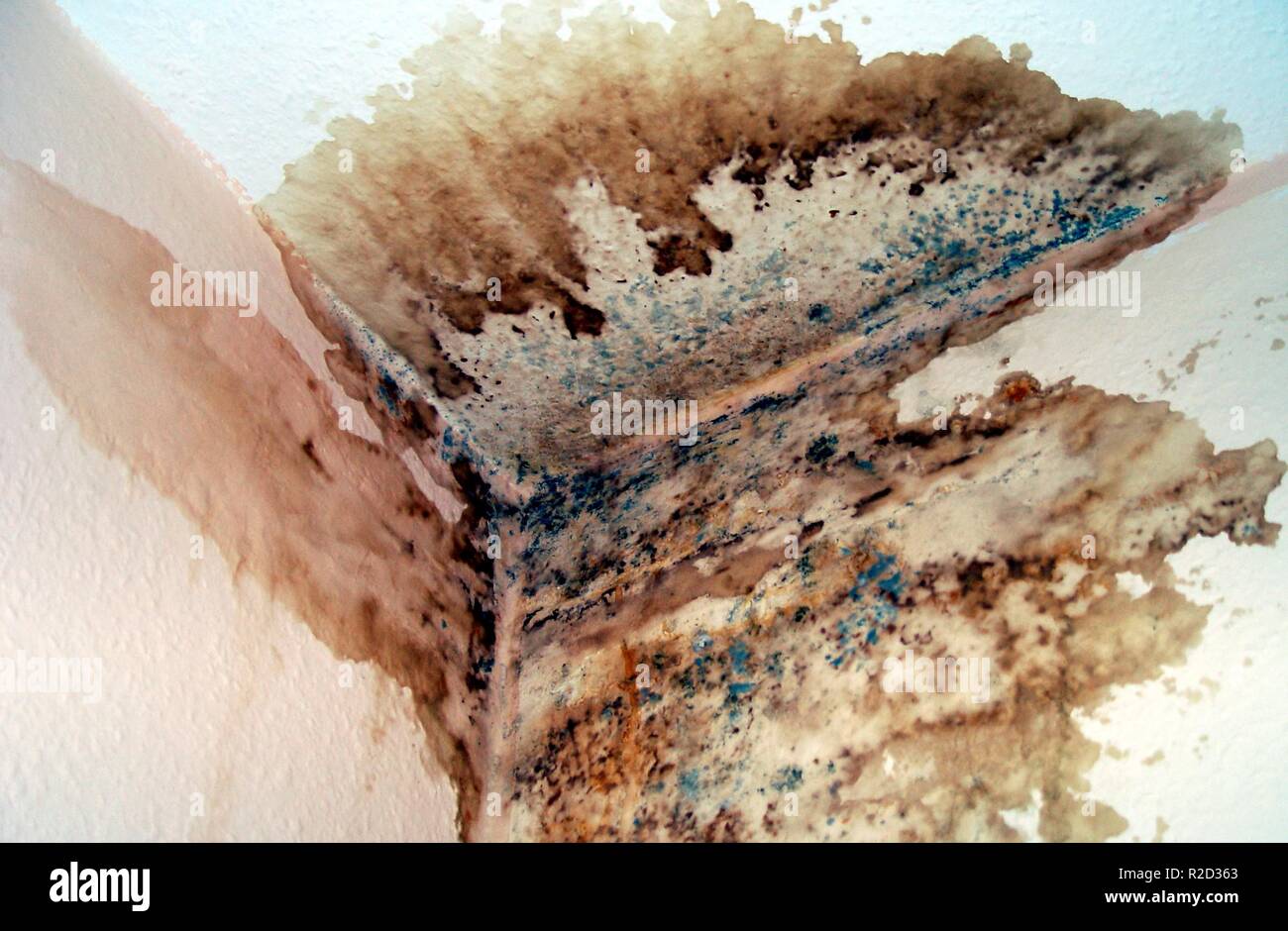 water damage Stock Photo - Alamy
