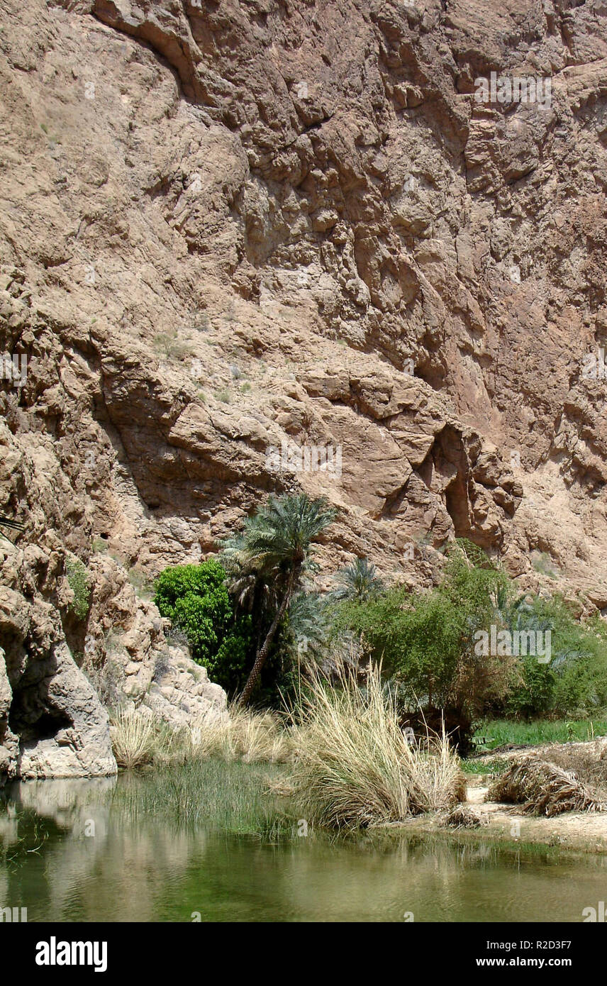 mountain oasis 3 Stock Photo - Alamy