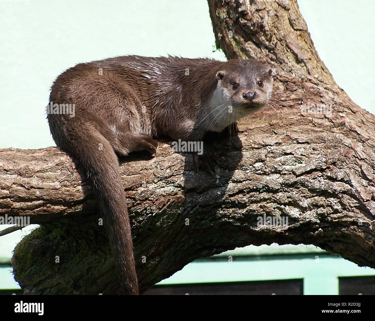 hello what do you want Stock Photo - Alamy