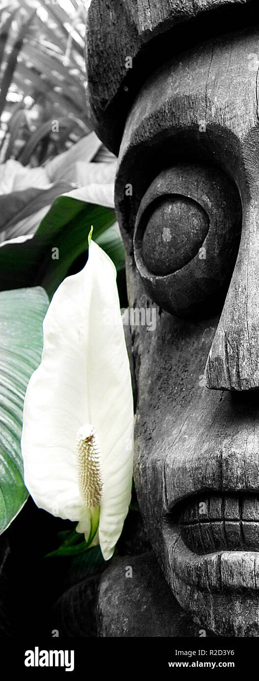 God flower hi-res stock photography and images - Alamy