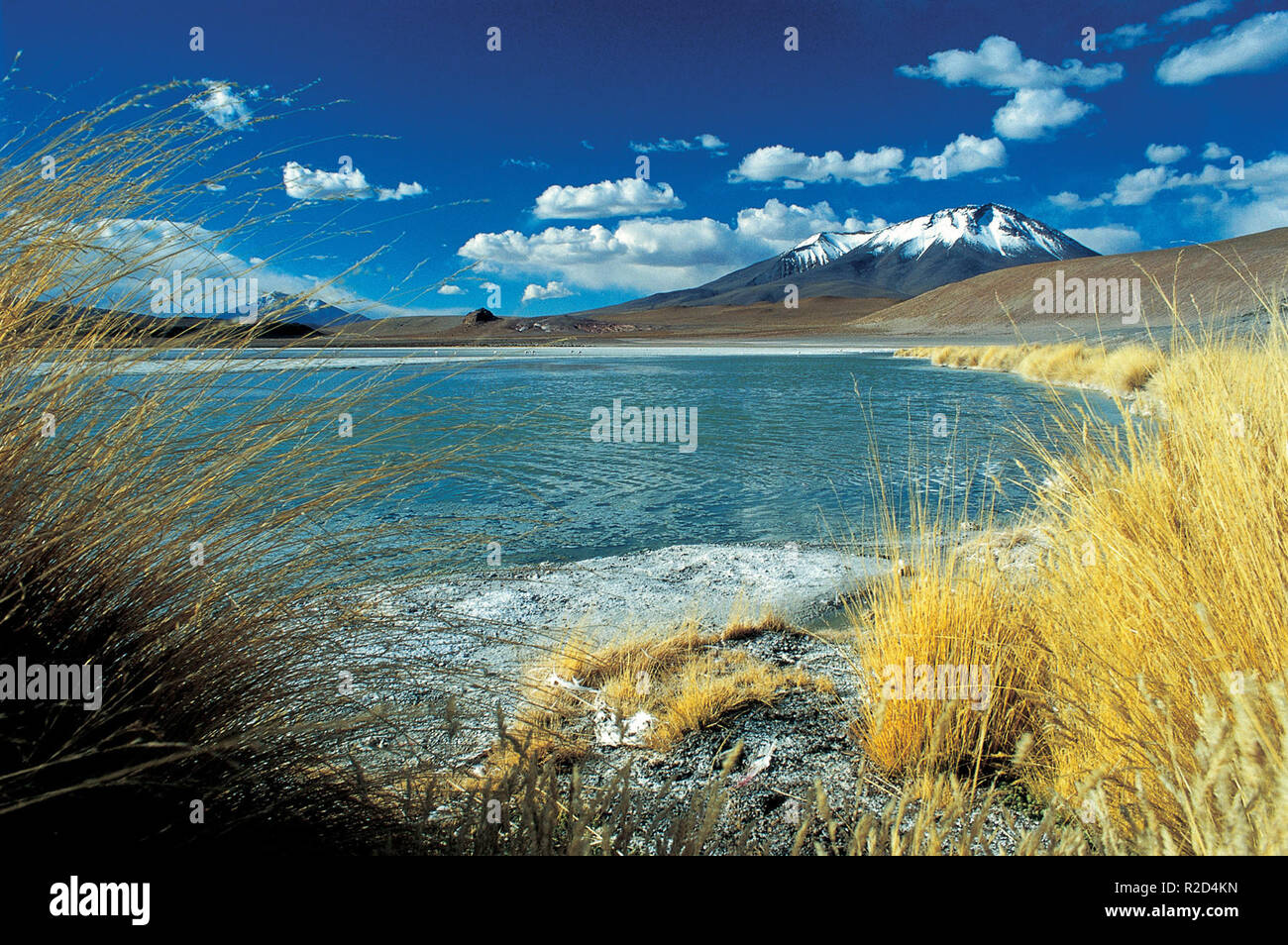 Celeste lagoon hi-res stock photography and images - Alamy