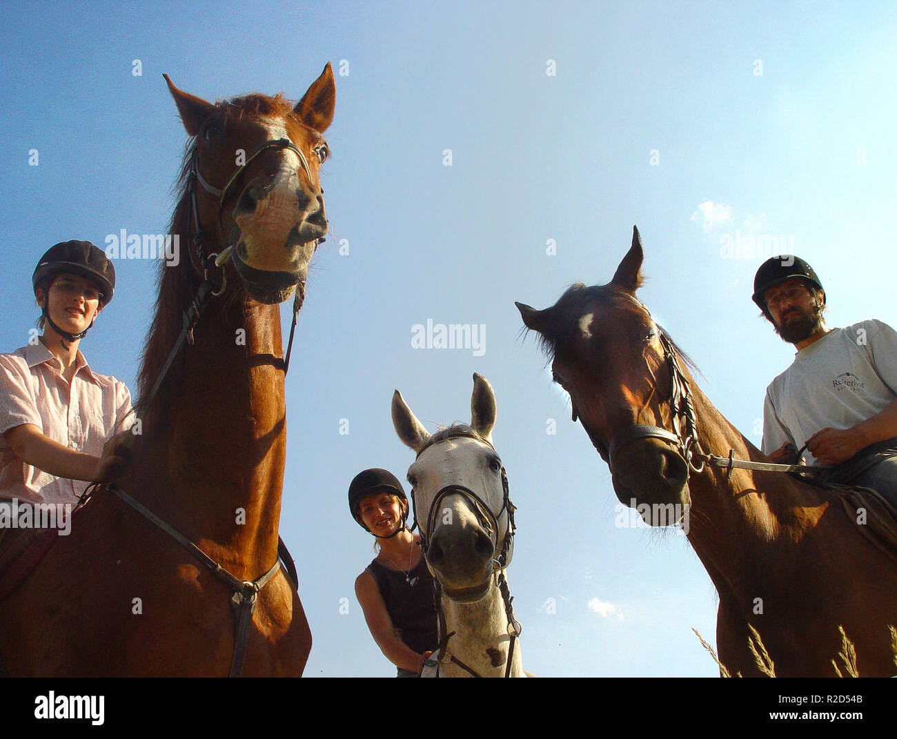 horse with rider Stock Photo - Alamy