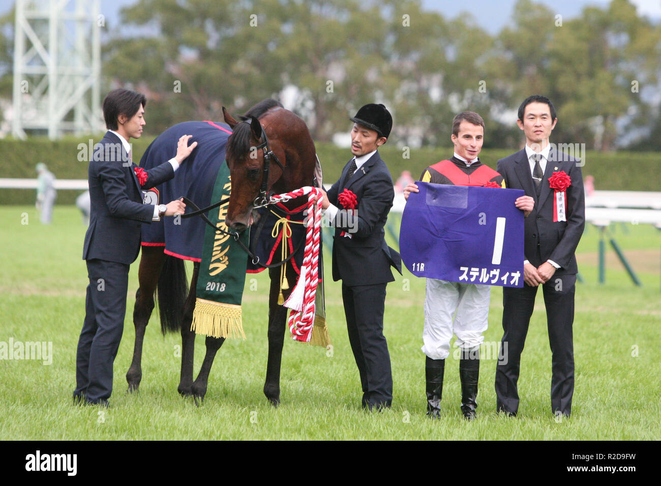 Winning jockey william buick hi-res stock photography and images - Alamy