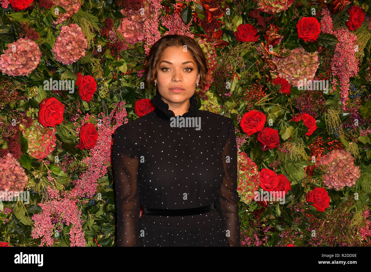 Rita bennett hi-res stock photography and images - Alamy