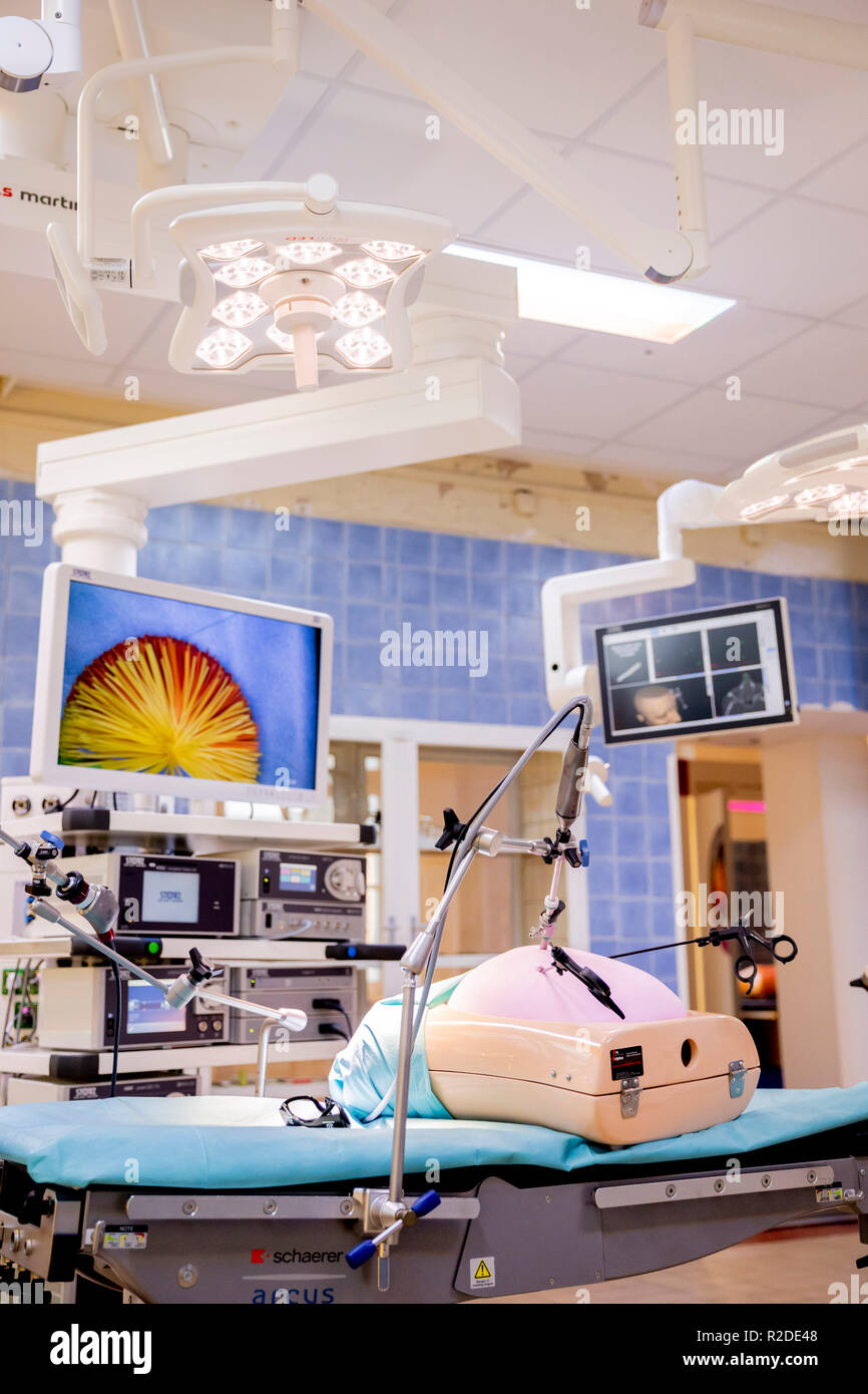 Berlin, Germany. 19th Nov, 2018. A stereolaparoscope for 3D endoscopy ...