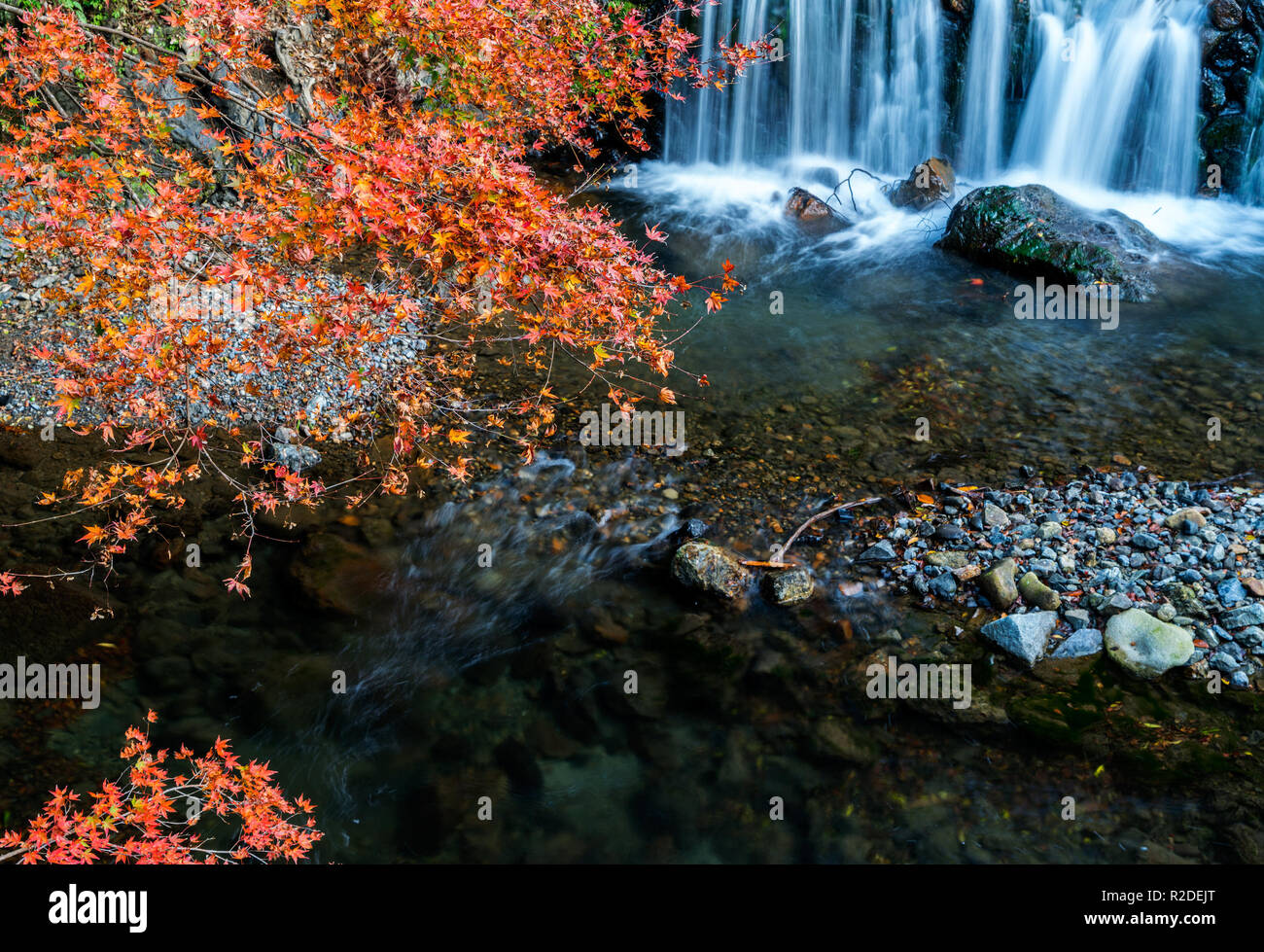 Kyoto, Kyoto, China. 19th Nov, 2018. Autumn scenery at Kifune Shrine in ...