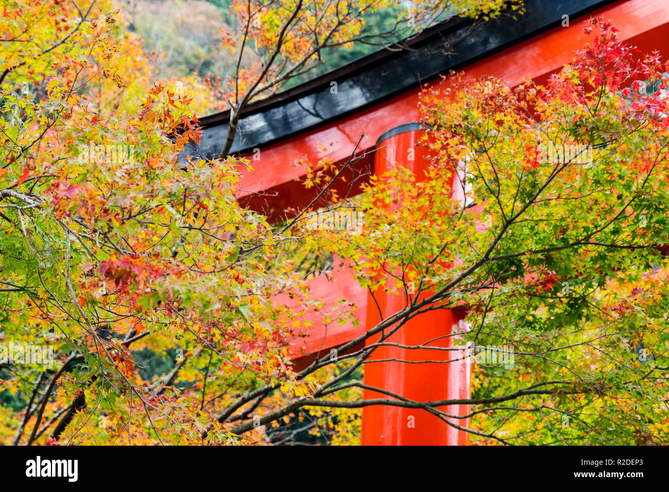 Kifune hi-res stock photography and images - Alamy