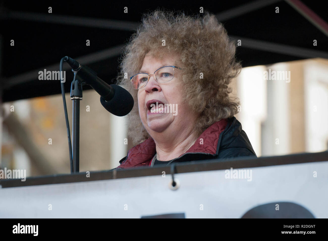 London, UK. 17th Nov, 2018. Member of the European Parliament for the ...