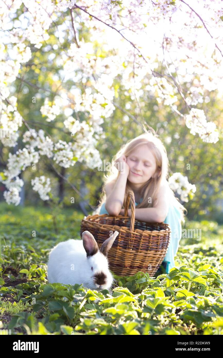girl and rabbit on the lawn in a blooming cherry orchard at sunset ...