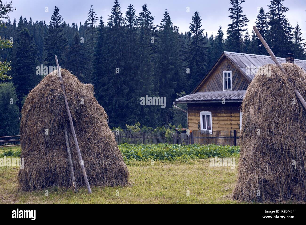 Carpaty hi-res stock photography and images - Alamy